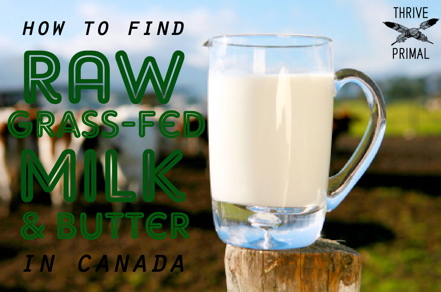 How to find raw grass fed milk and butter in Canada » Thrive Primal